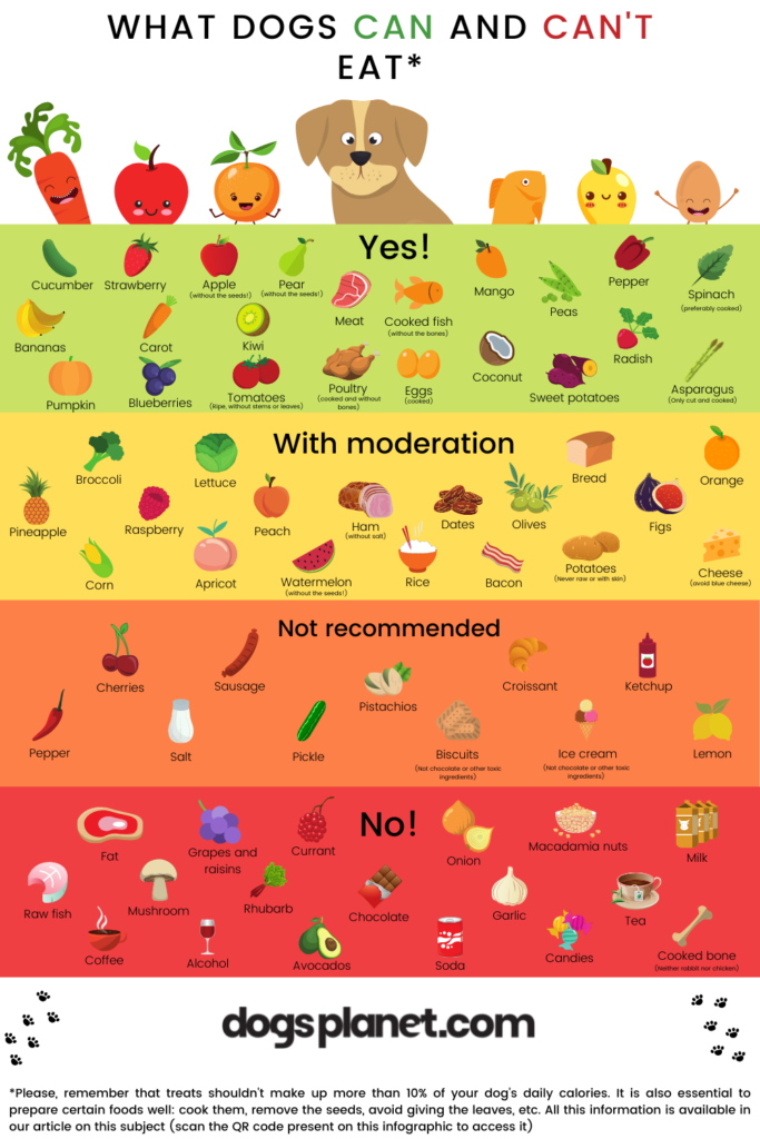 What Food Dogs Can And Can t Eat DogsPlanet