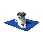 Notre top 5 des meilleurs tapis rafraîchissants pour chien - DogsPlanet.com