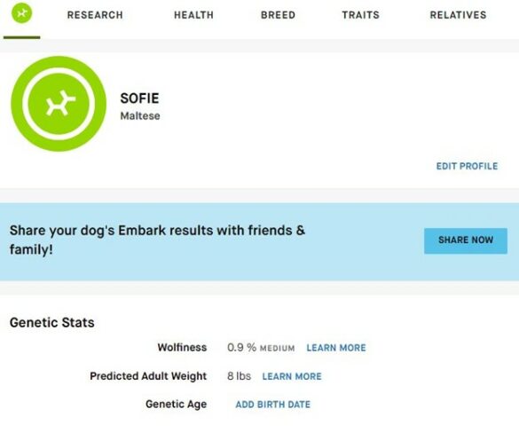 Embark DNA Test: We Tried It, Here's Our Review! - DogsPlanet.com