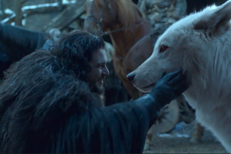 170+ Game of Thrones Dog Names - DogsPlanet.com