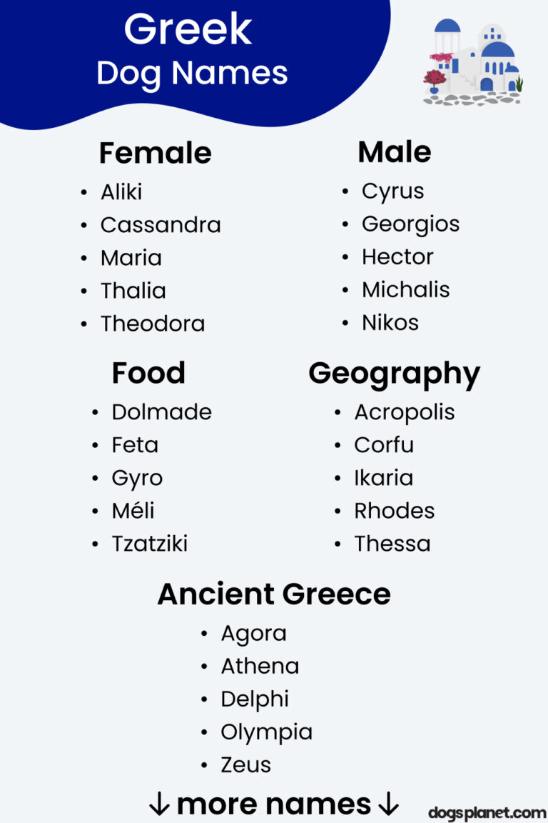 350+ Greek Dog Names For A Mythical Canine - DogsPlanet.com