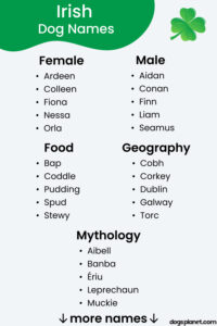 330+ Irish Dog Names for your Lucky Dog! - DogsPlanet.com