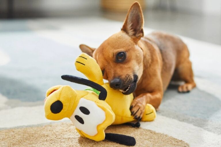 10 Disney Dog Toys For Your Pooch - DogsPlanet.com
