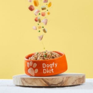Dogfy Diet: Opiniones, Precio y Funcionamiento - DogsPlanet.com