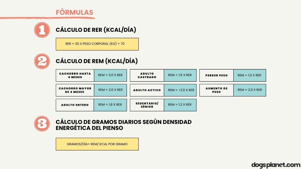 ¿Qué cantidad de pienso deben comer los perros y los cachorros ...