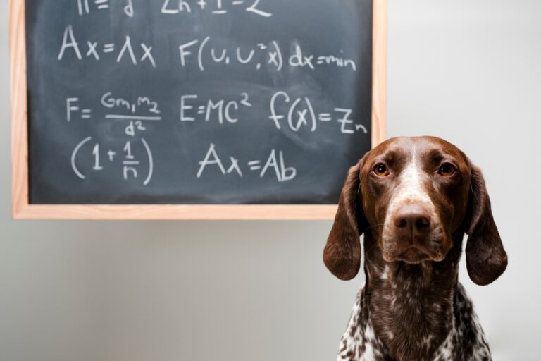 300+ Science Dog Names For Your Mad Scientist Pooch - DogsPlanet.com