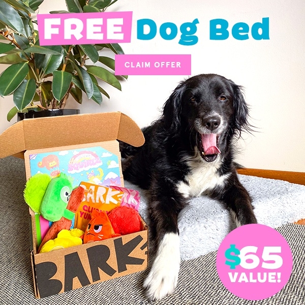 370+ Russian Dog Names For Your Comrade Canine - DogsPlanet.com